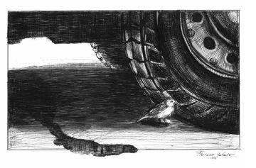 Il passero/The sparrow. A poem by Tiziano Thomas Dossena | A writer's world